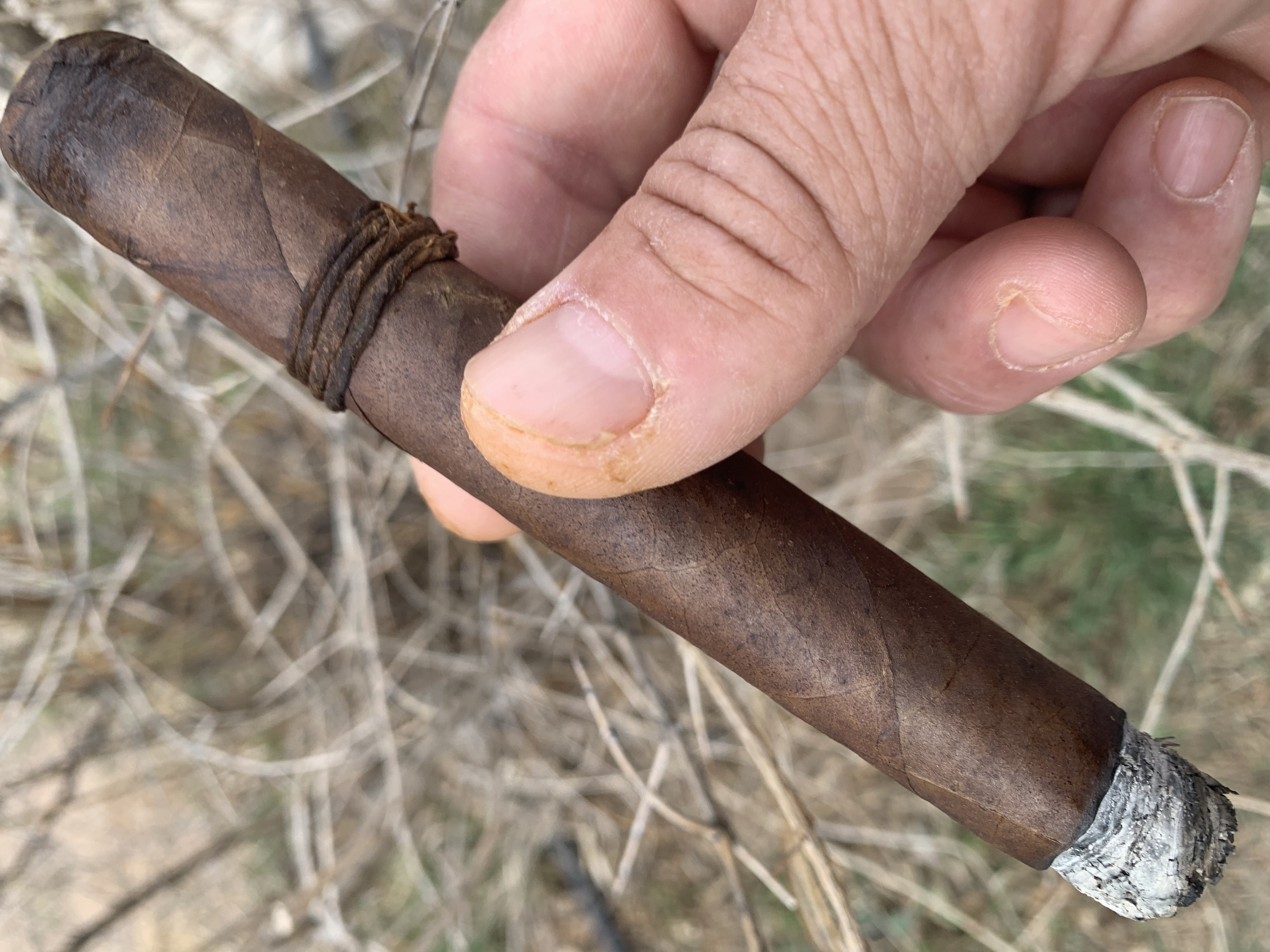 The Stout one ☝️ | By YeshKai on March 6 2021 12:05:53 AM | Cigar ...