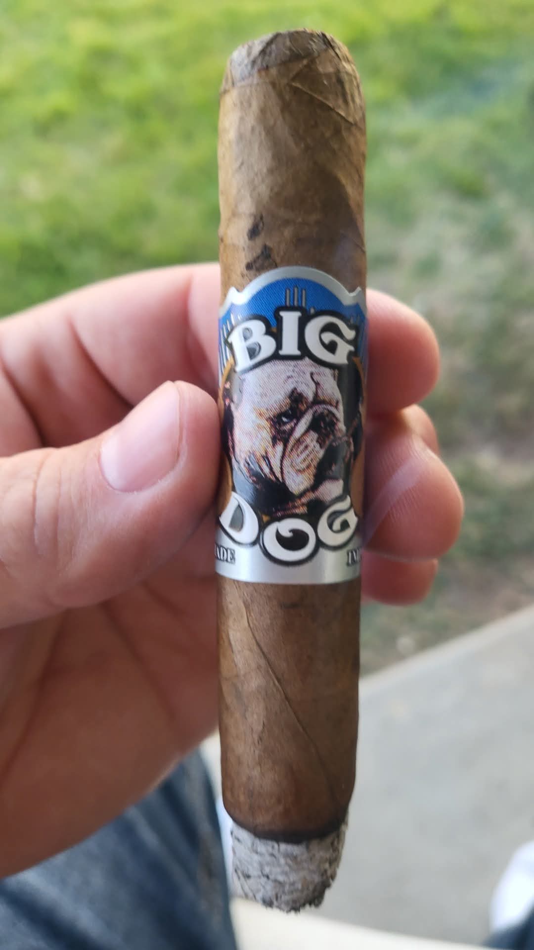 It's a big dog night | By Irocsubiedude86 on September 9 2025 11:34:40 ...