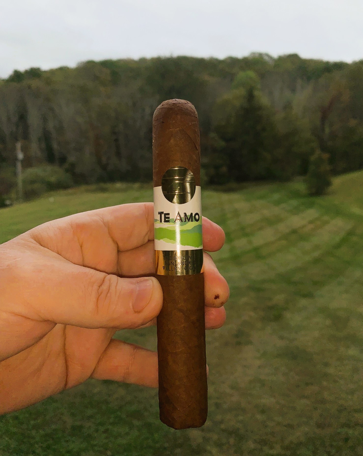 Comeback | Posted in Today's Smokes by ElCid on September 25 2024 9:47: ...