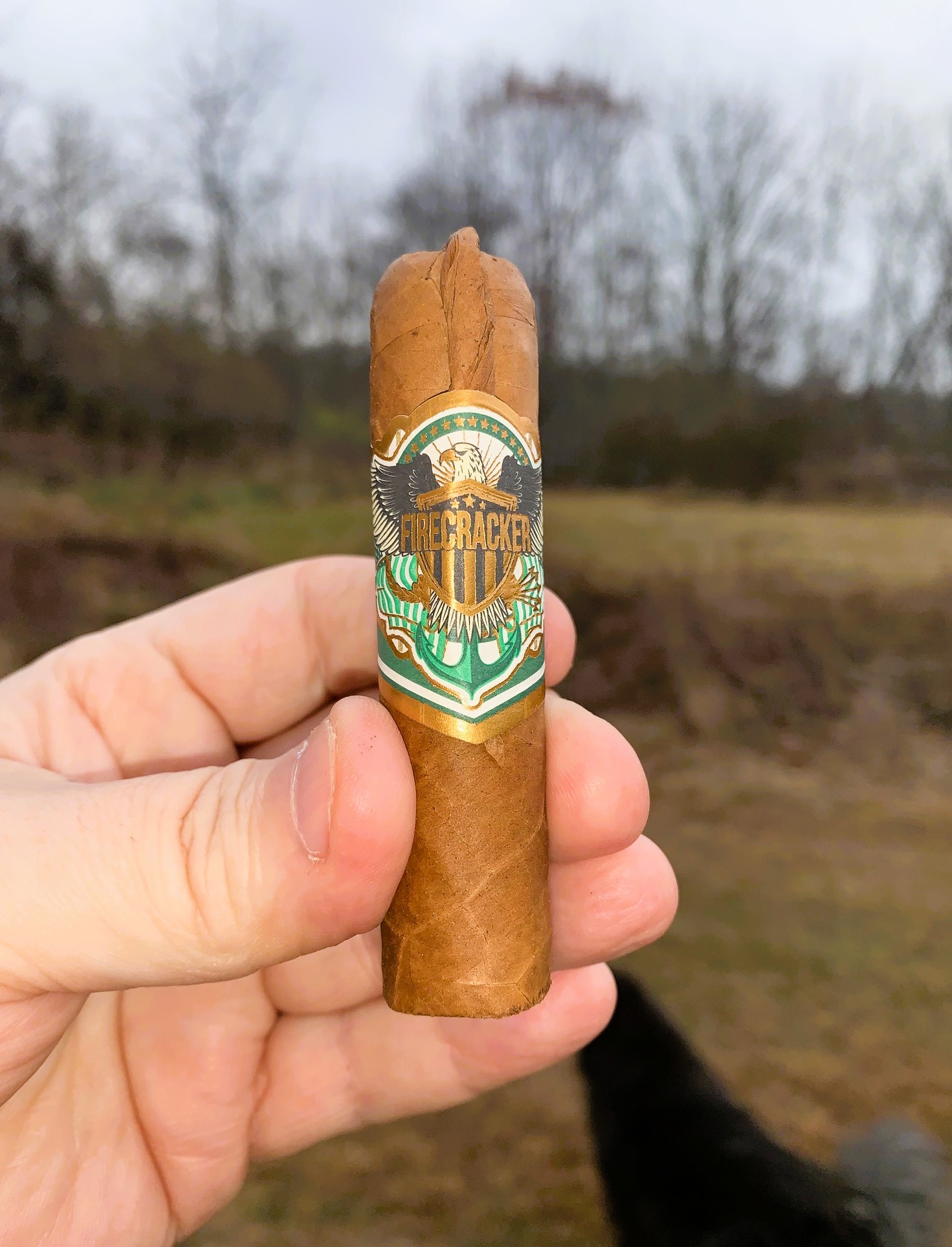 Short one | By ElCid on November 10 2024 6:06:01 PM | Cigar Reviews ...