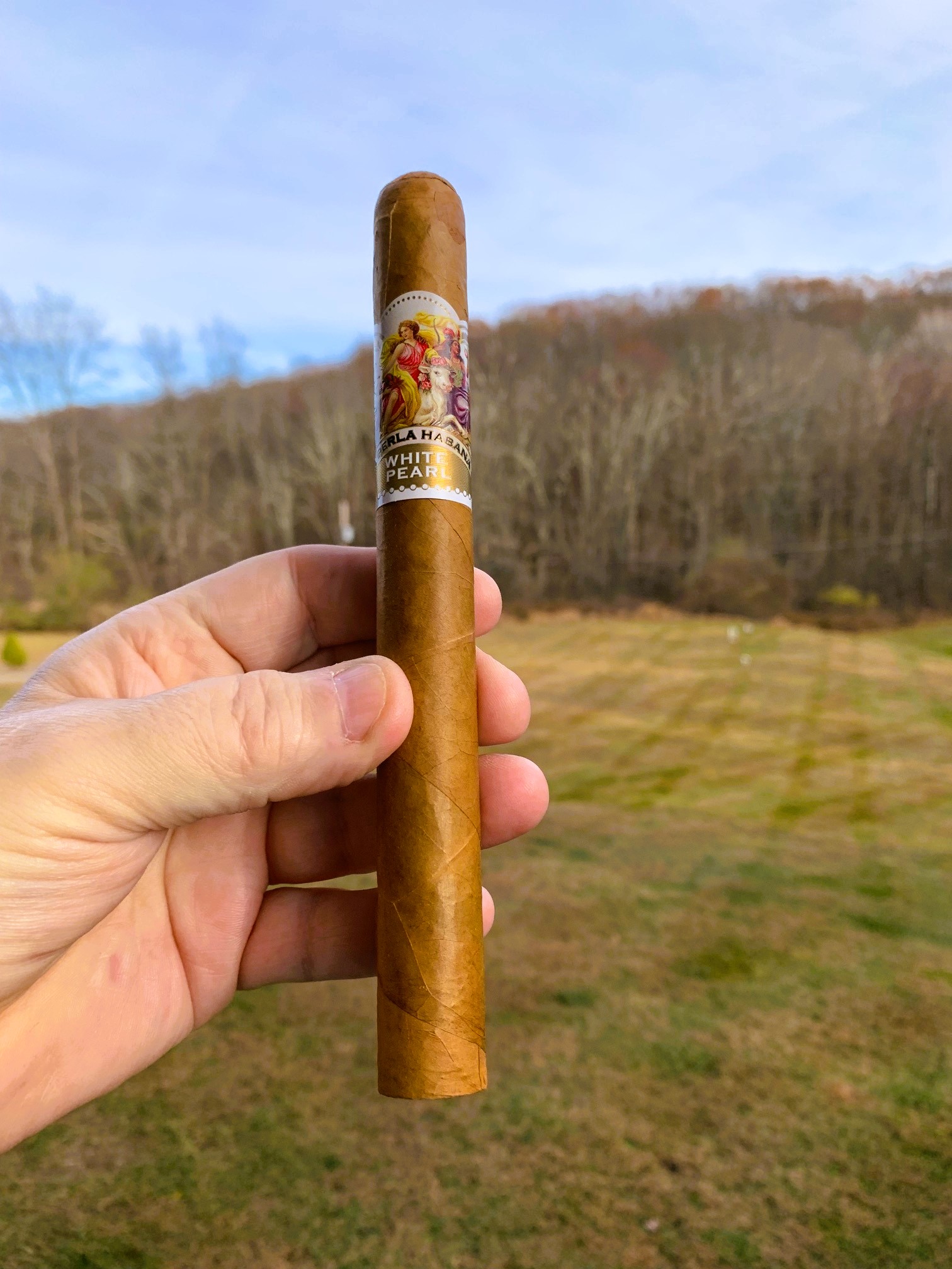 Good and Bad | Posted in Today's Smokes by ElCid on November 17 2024 8: ...