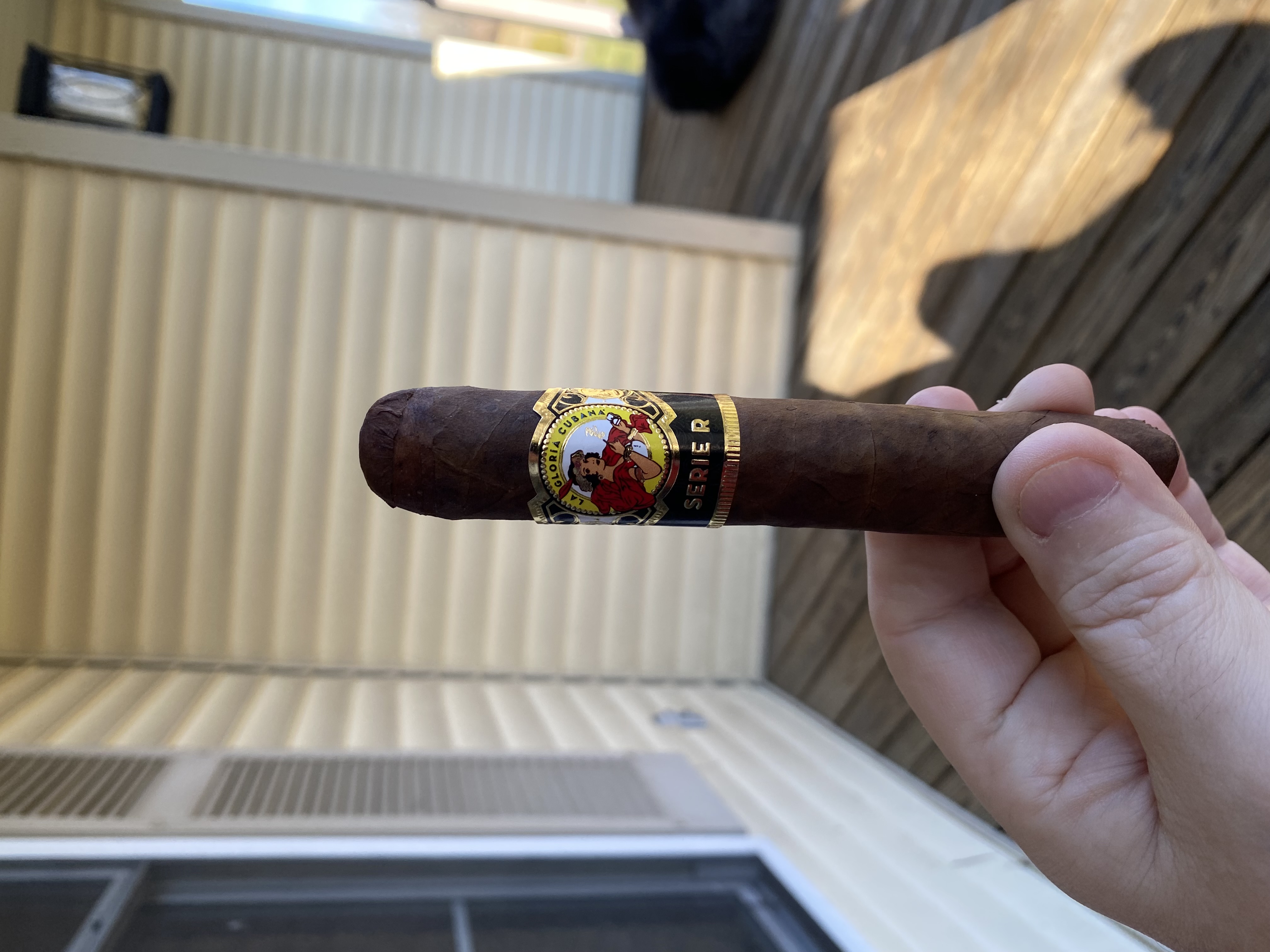 Mild December day in North East. | By ElCid on December 16 2023 1:48:44 ...