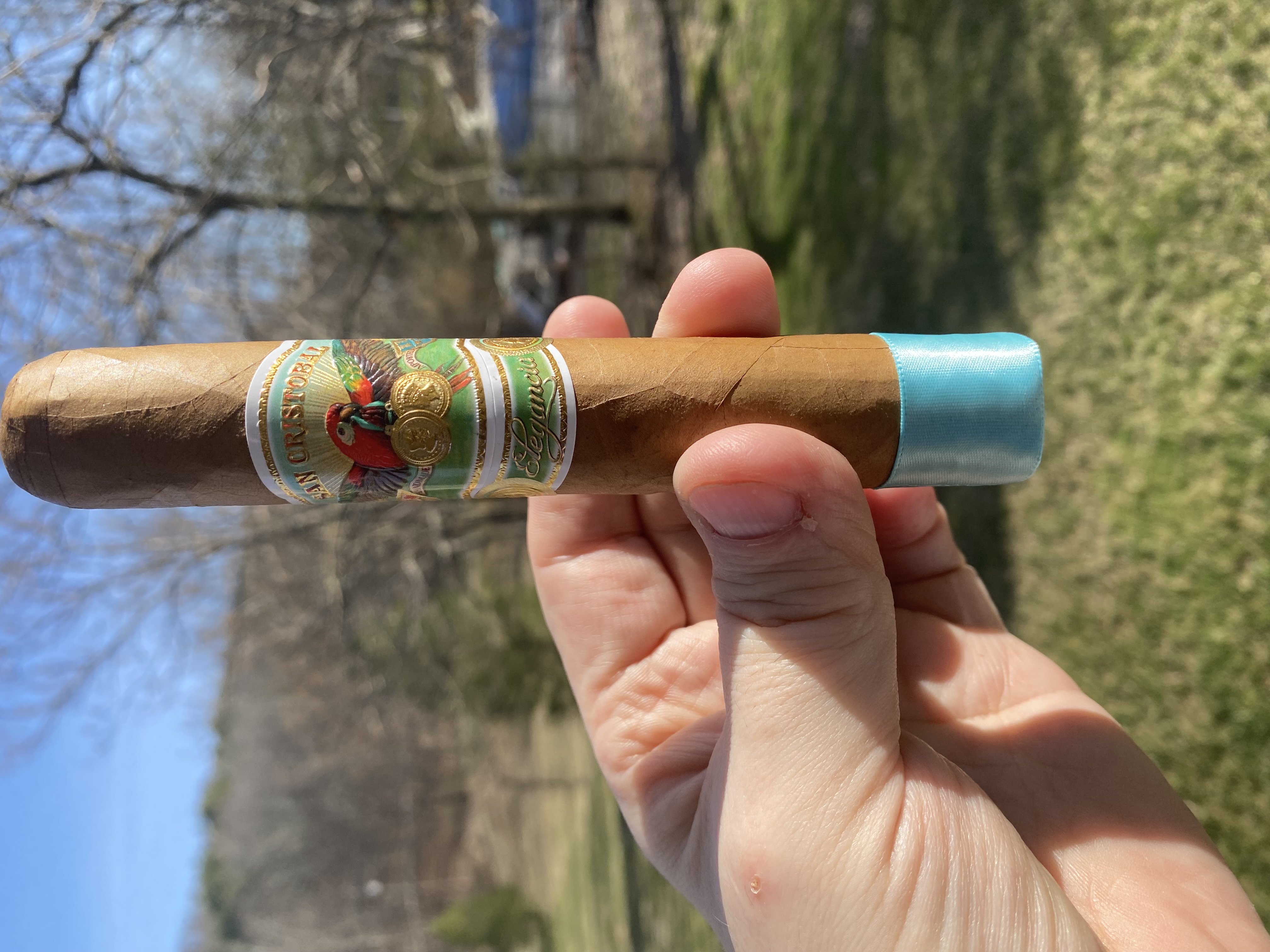 Spring is here | Posted in The Lounge by ElCid on March 14 2024 4:37:25 ...