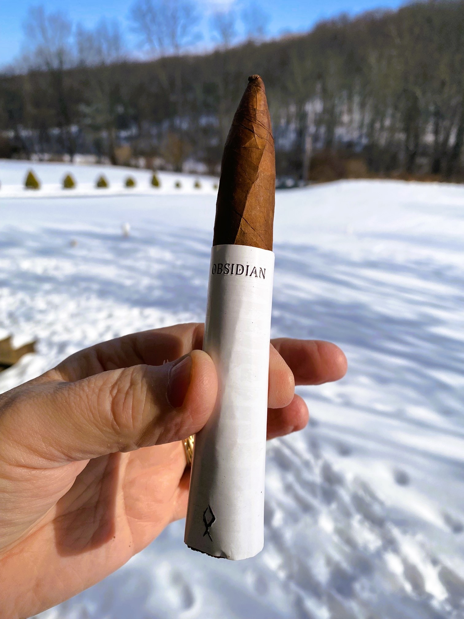 White Christmas | Posted in The Lounge by ElCid on December 24 2024 3: ...