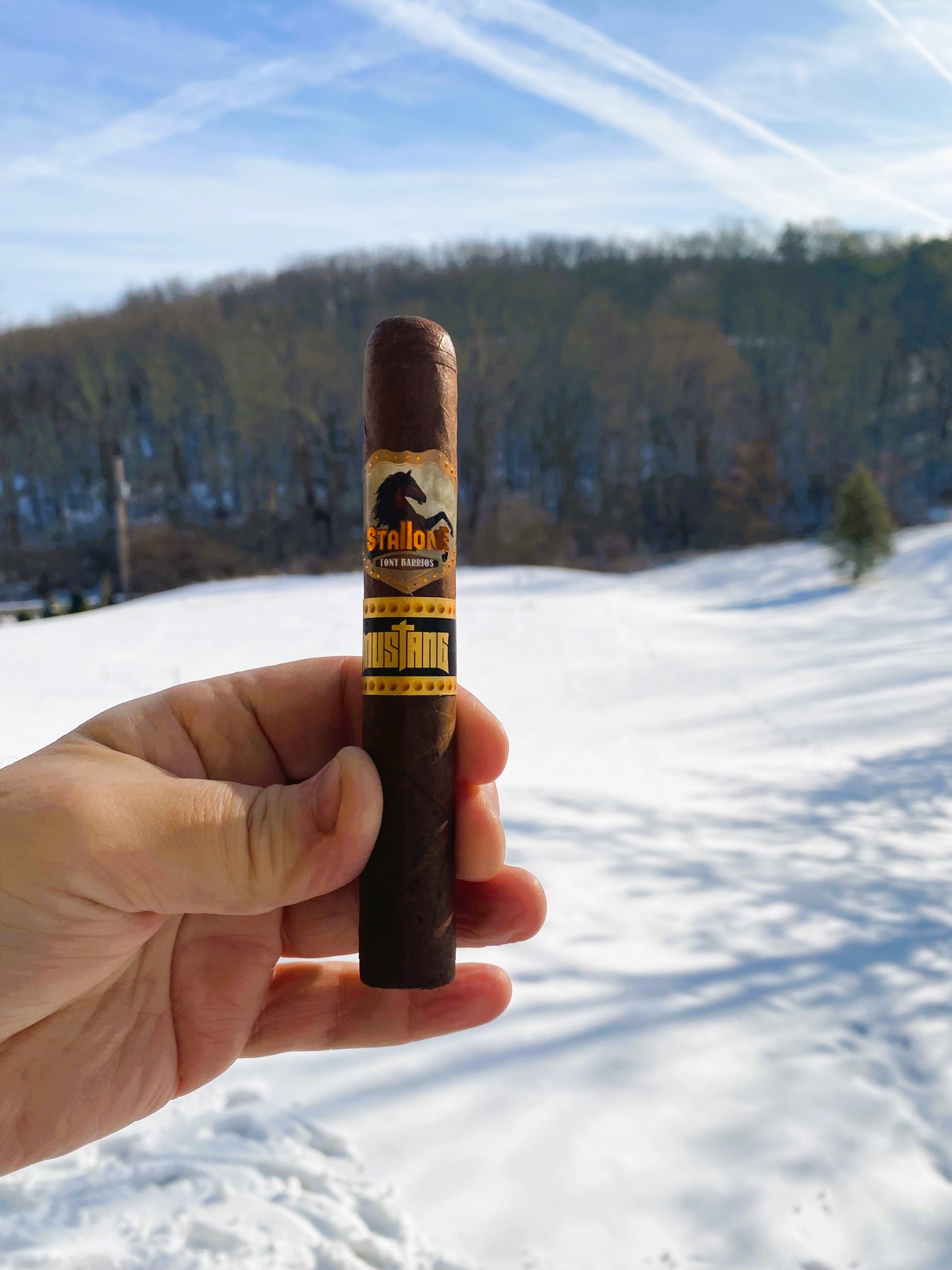 Boutique blends | By ElCid on December 27 2024 11:59:03 AM | Cigar ...