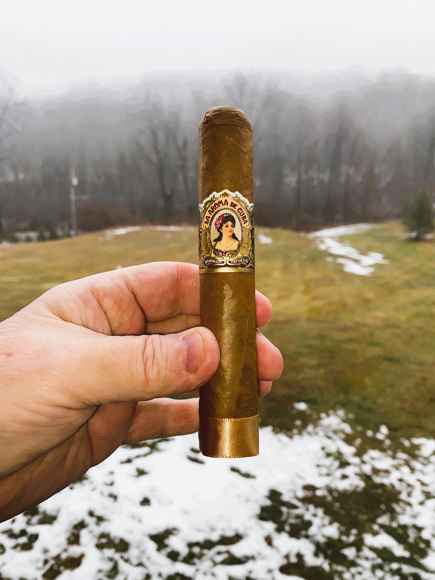 Warmer day | By ElCid on December 29 2024 10:13:33 PM | Cigar Reviews ...
