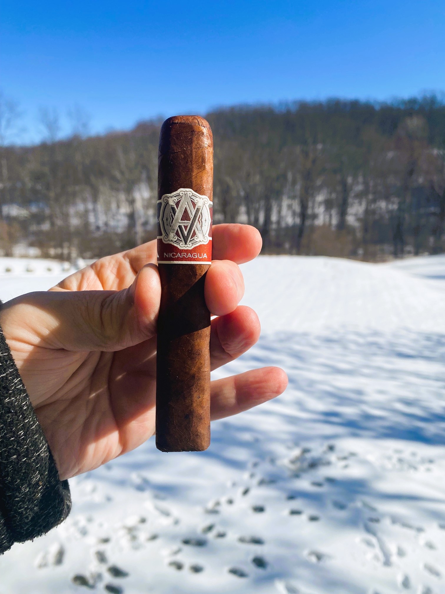 Good blend | Posted in The Lounge by ElCid on February 10 2025 4:01:28 ...