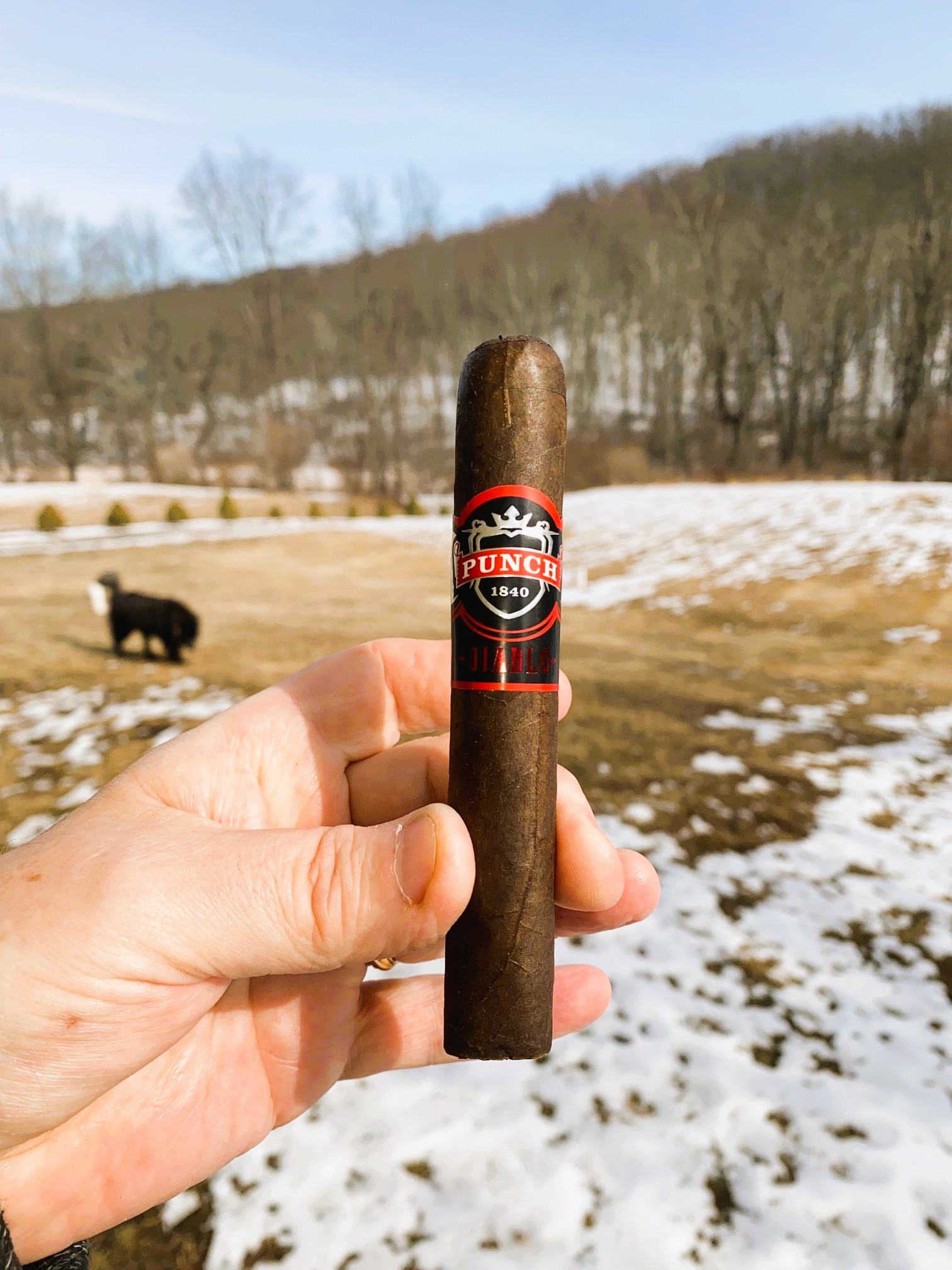 Has some punch | Cigar World