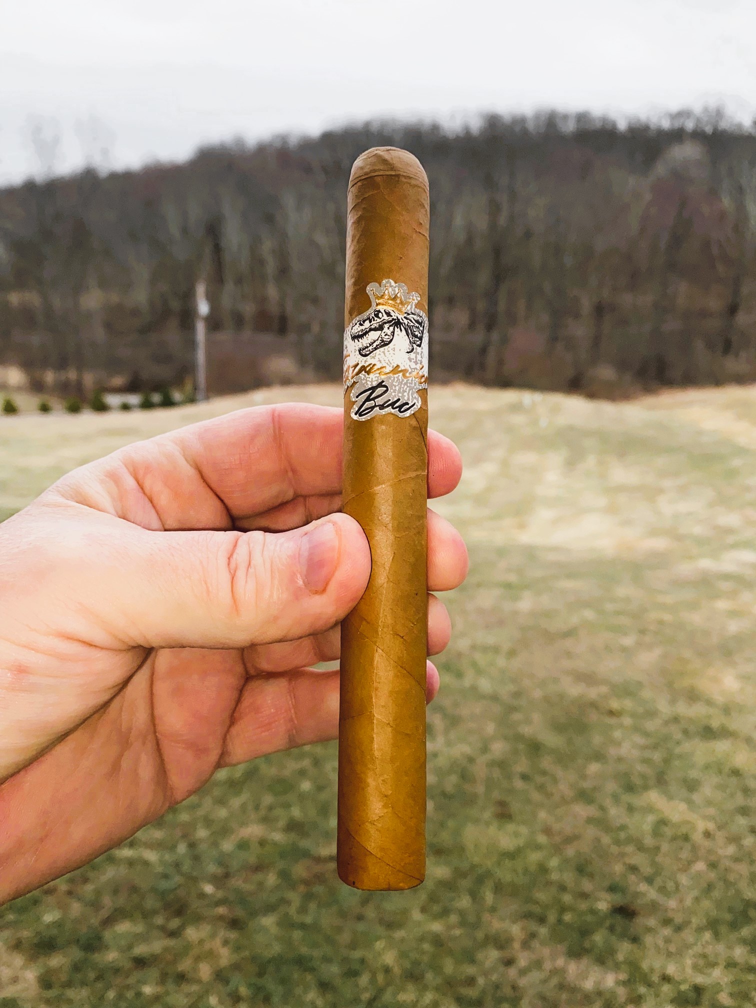 Excellent Connecticut | By ElCid on March 17 2025 8:59:05 PM | Cigar ...