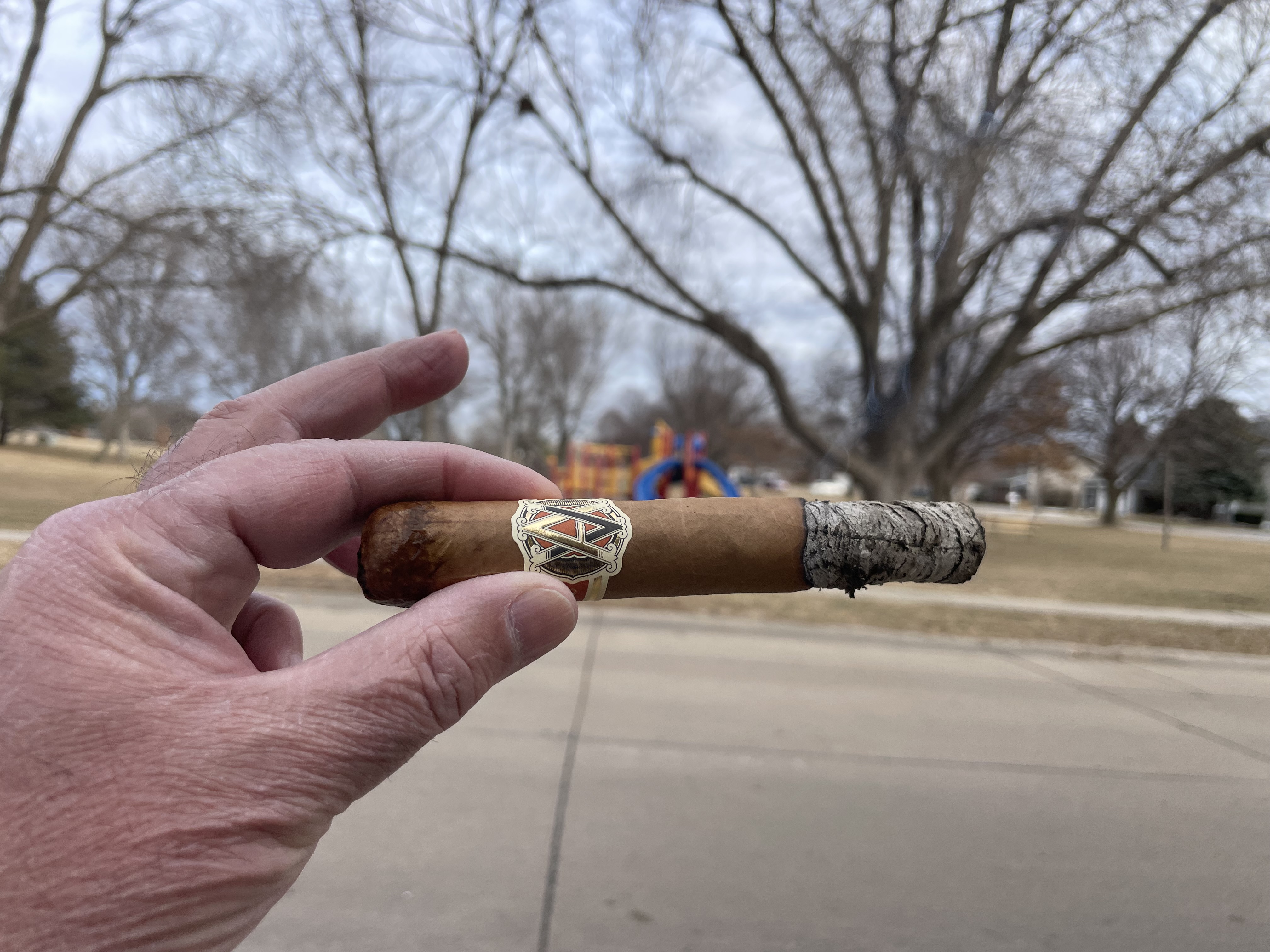 Walk to the Park | Posted in The Lounge by Goomba on February 2 2025 4: ...