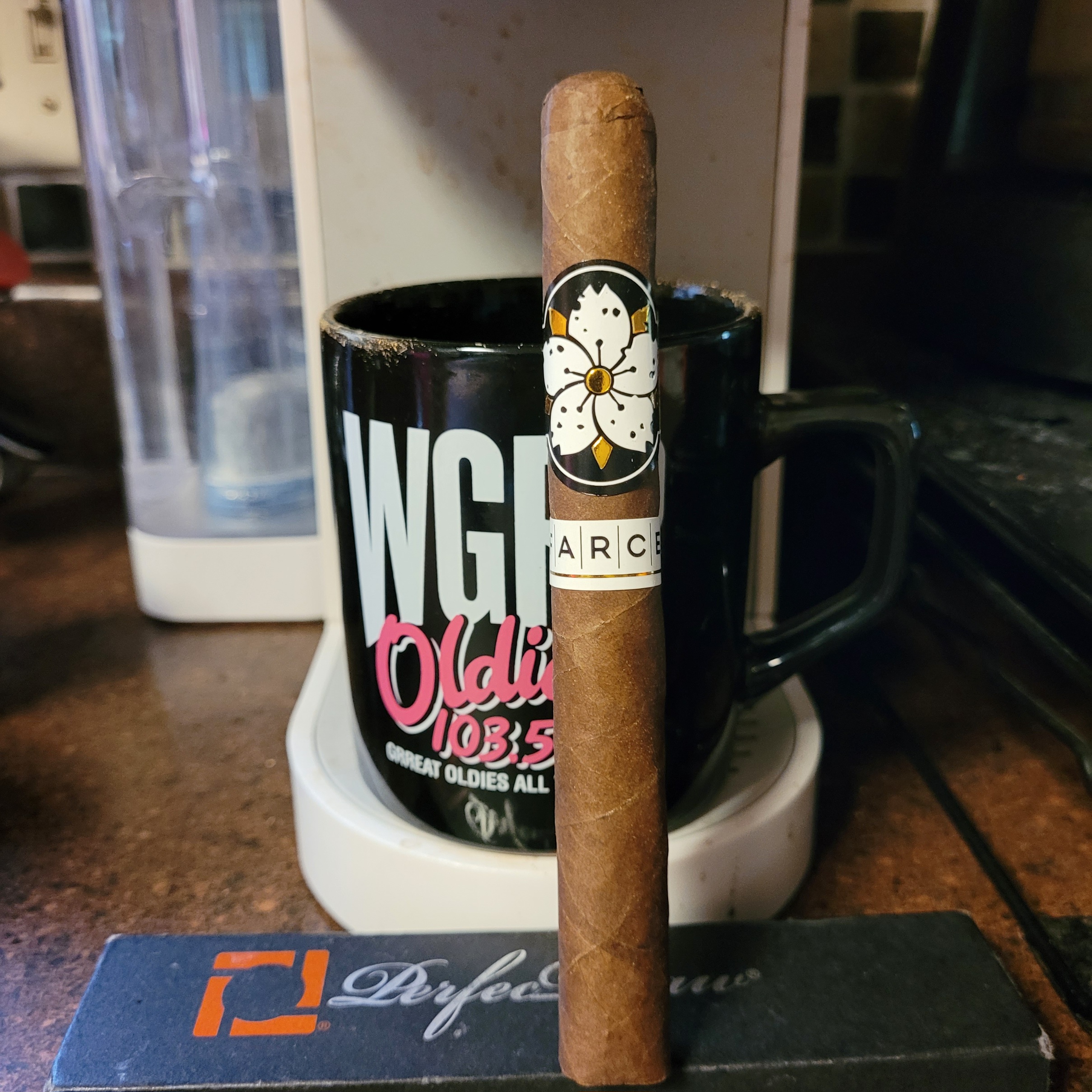 Room 101 Farce Esteli | By Bear On The Air on May 21 2024 12:28:57 PM ...