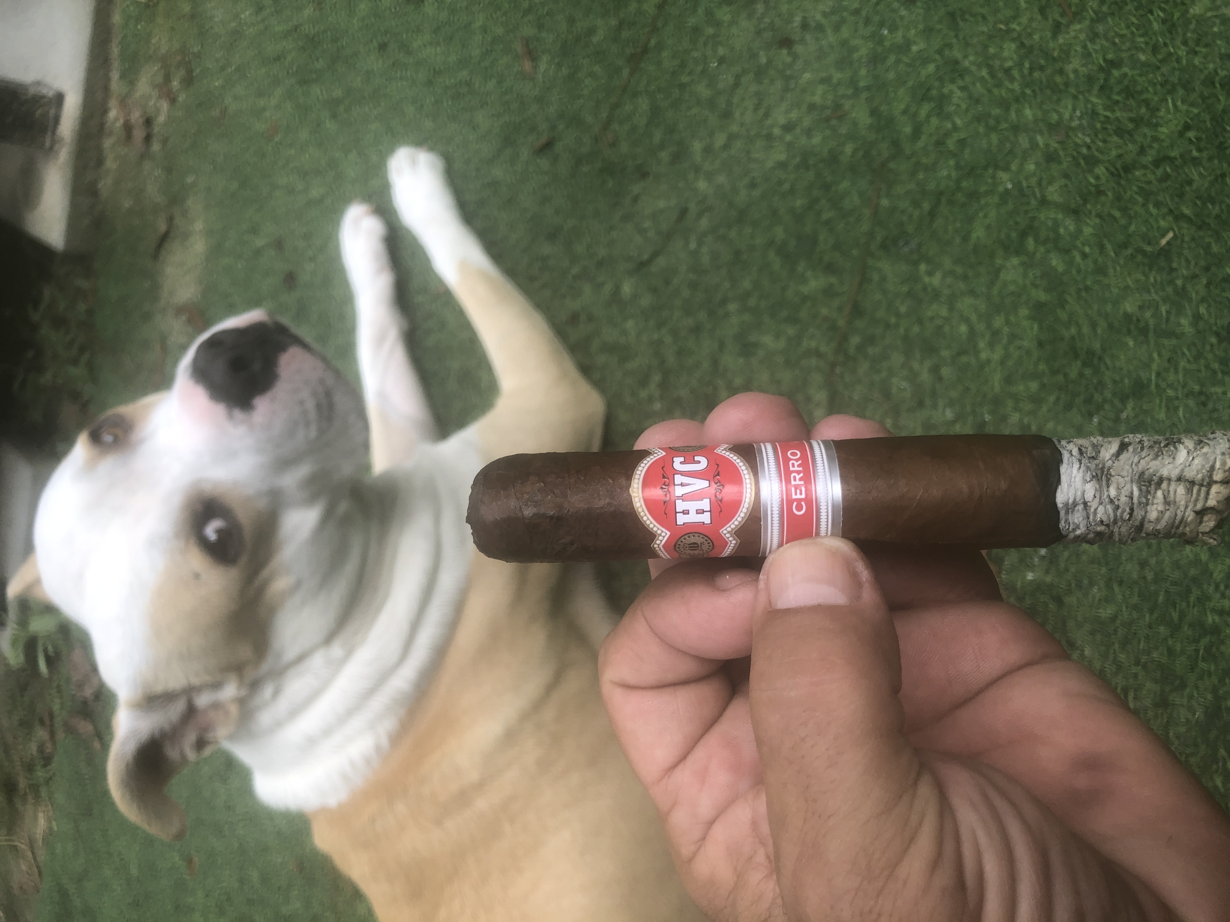 Ryder Cup dreams are slipping away… | By shortstackz on September 28 2025 1:25:04 PM | Cigar ...